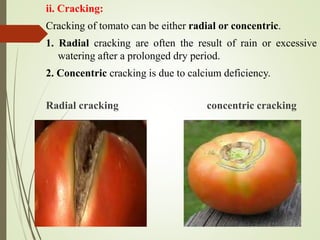 6. Physiological Disorder of fruits and vegetables.pptx