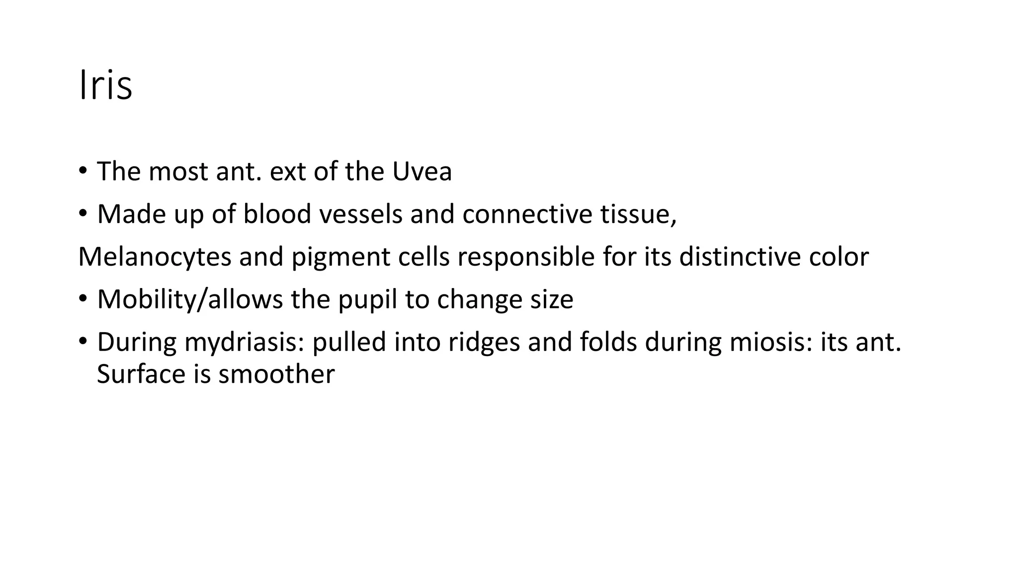 Uveal tract anatomy and physiology with descriptions | PPTX