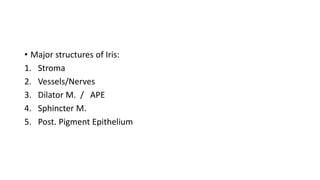 Uveal tract anatomy and physiology with descriptions | PPTX