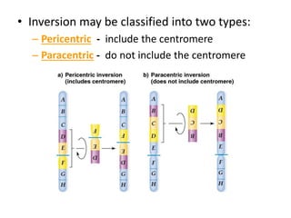 6. Chromosomal aberrations - Structural | PPT