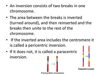 6. Chromosomal aberrations - Structural | PPT