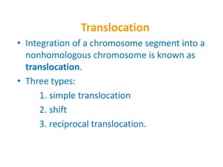 6. Chromosomal aberrations - Structural | PPT