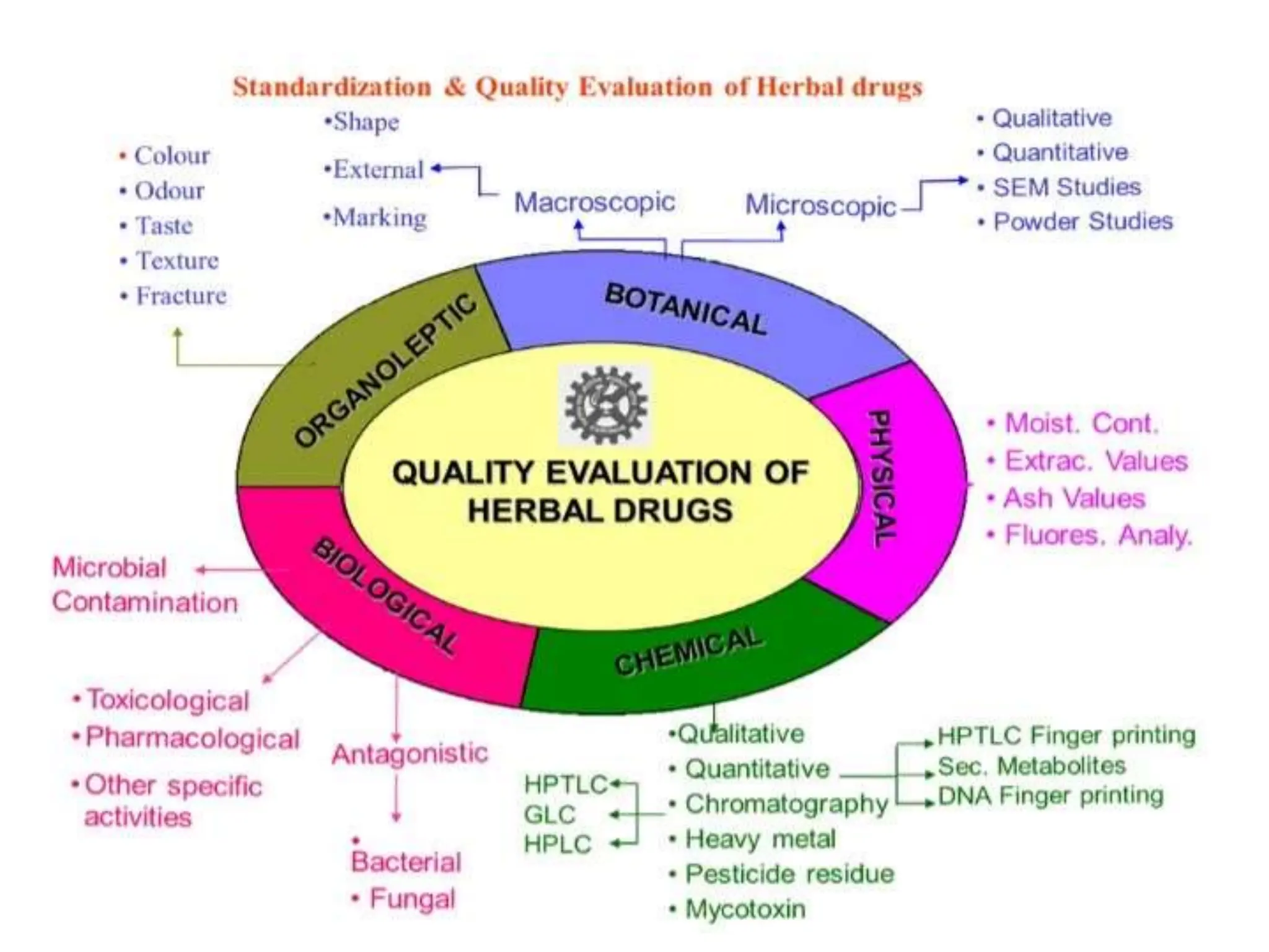 6.1. ICH and Who guidelines in quality control of crude drugs (2).pptx