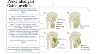 6. PATOLOGI TERJADINYA OSTEOMYELITIS.pptx