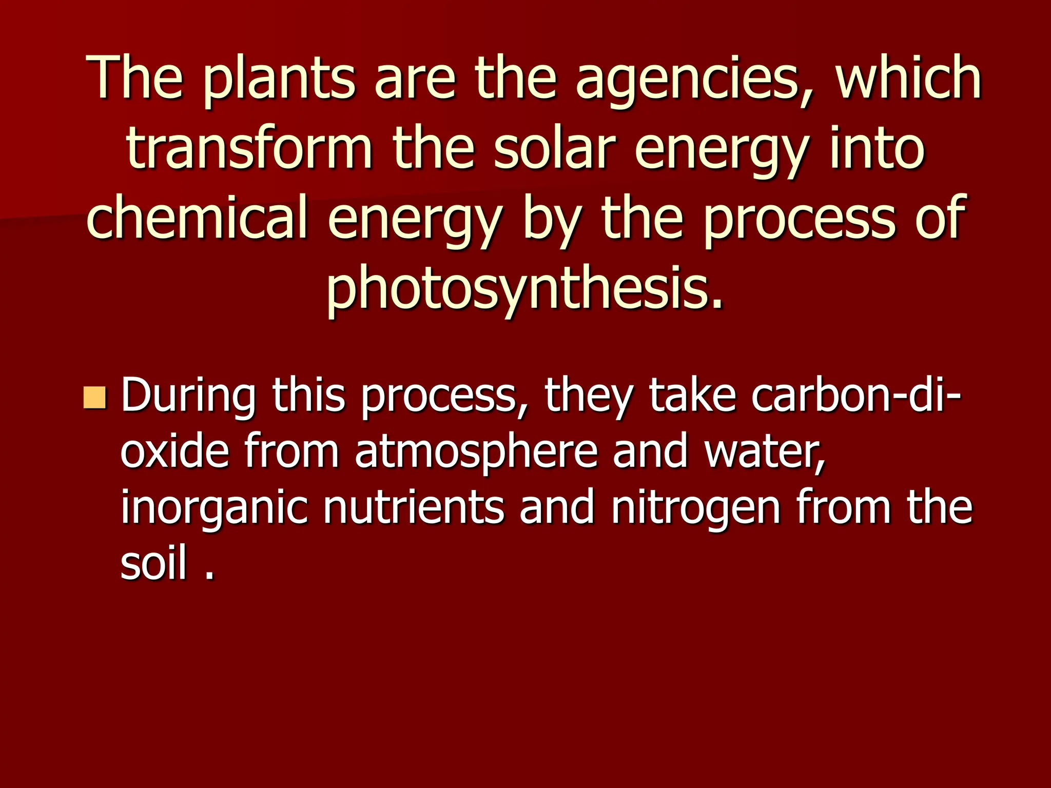 6.Biochemical Basis of soil, plant animal ANN-211.ppt
