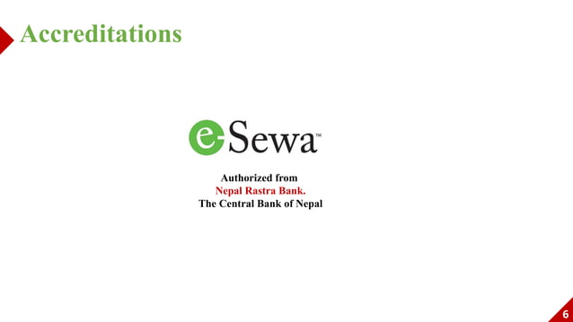 Presentation of business structure of Esewa.pptx