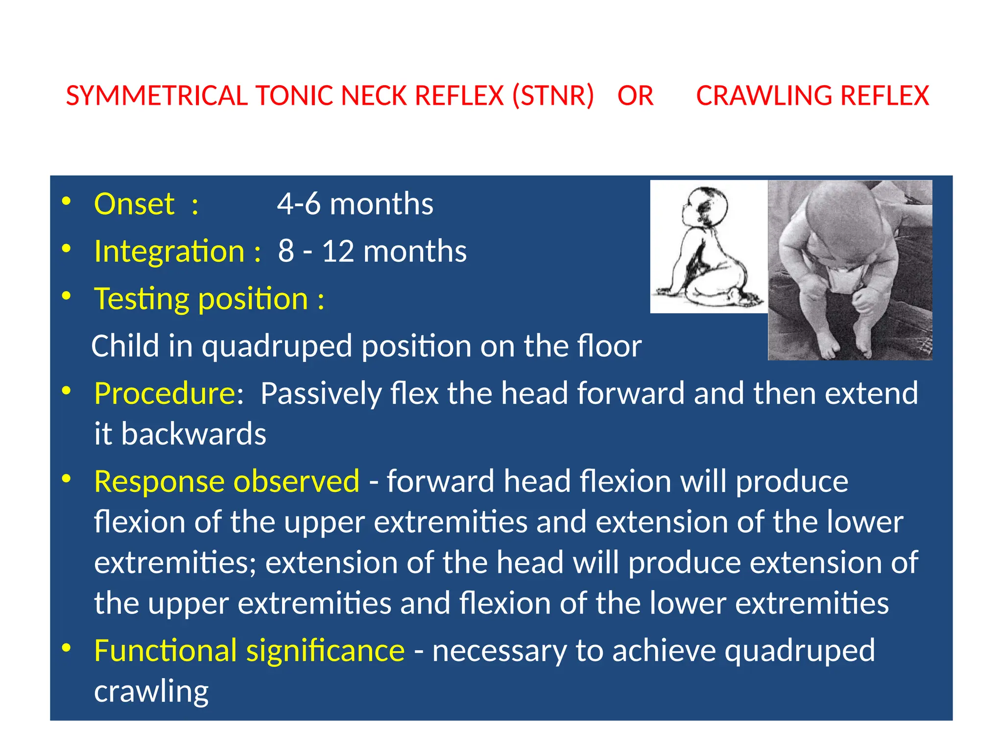 6. Developmental Reflexes ppt personal.pptx