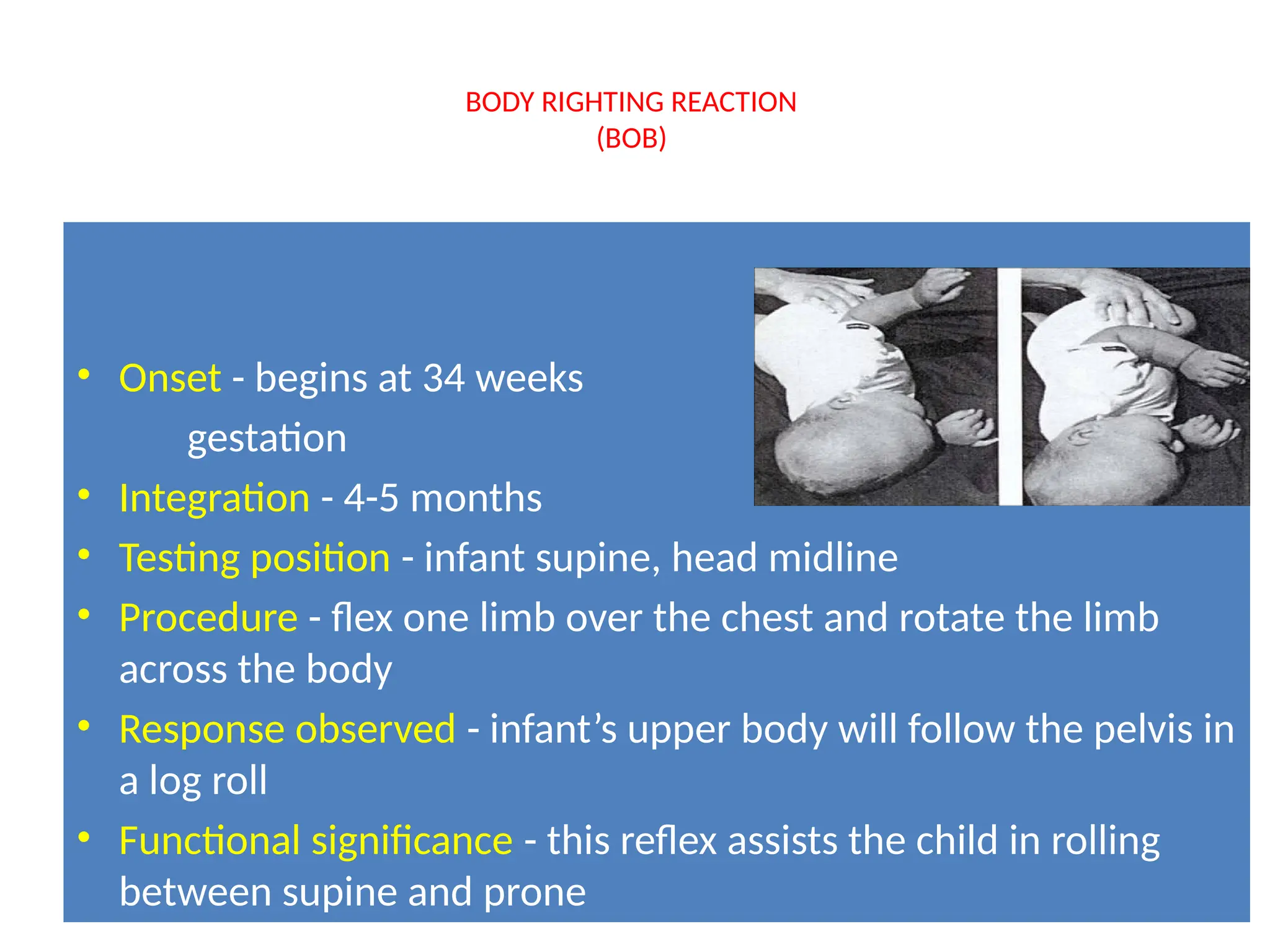 6. Developmental Reflexes ppt personal.pptx