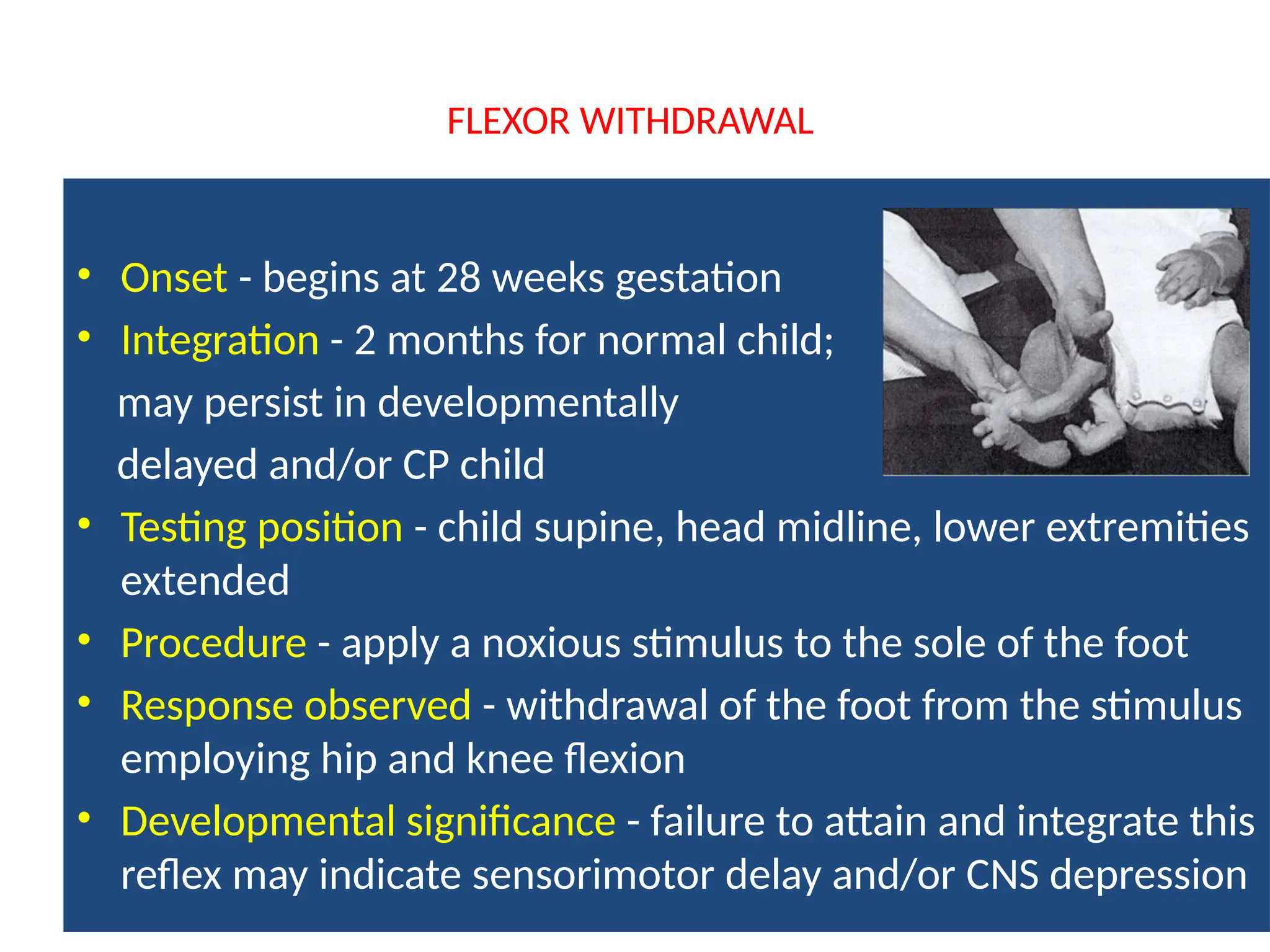 6. Developmental Reflexes ppt personal.pptx