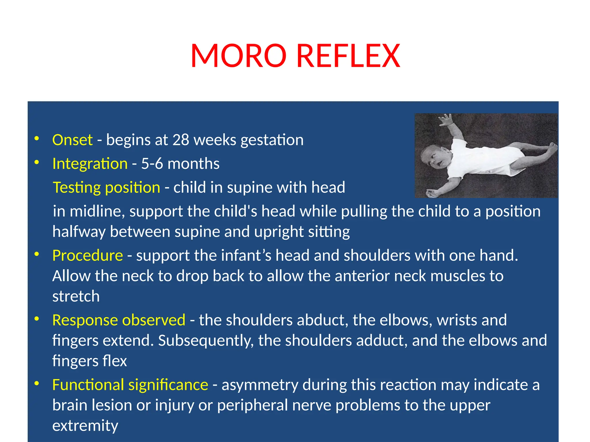 6. Developmental Reflexes ppt personal.pptx