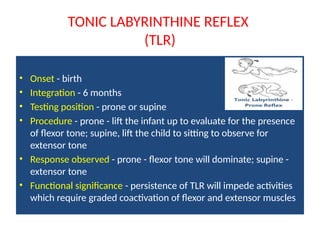 6. Developmental Reflexes ppt personal.pptx