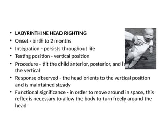 6. Developmental Reflexes ppt personal.pptx
