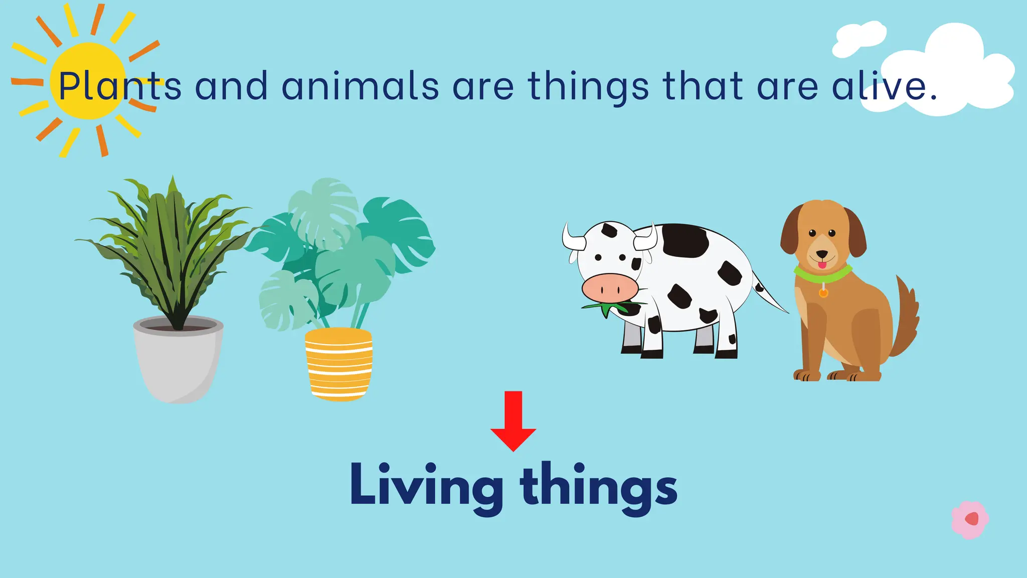 MATERIALS ALL AROUND US, CHANGING MATERIALS | PDF