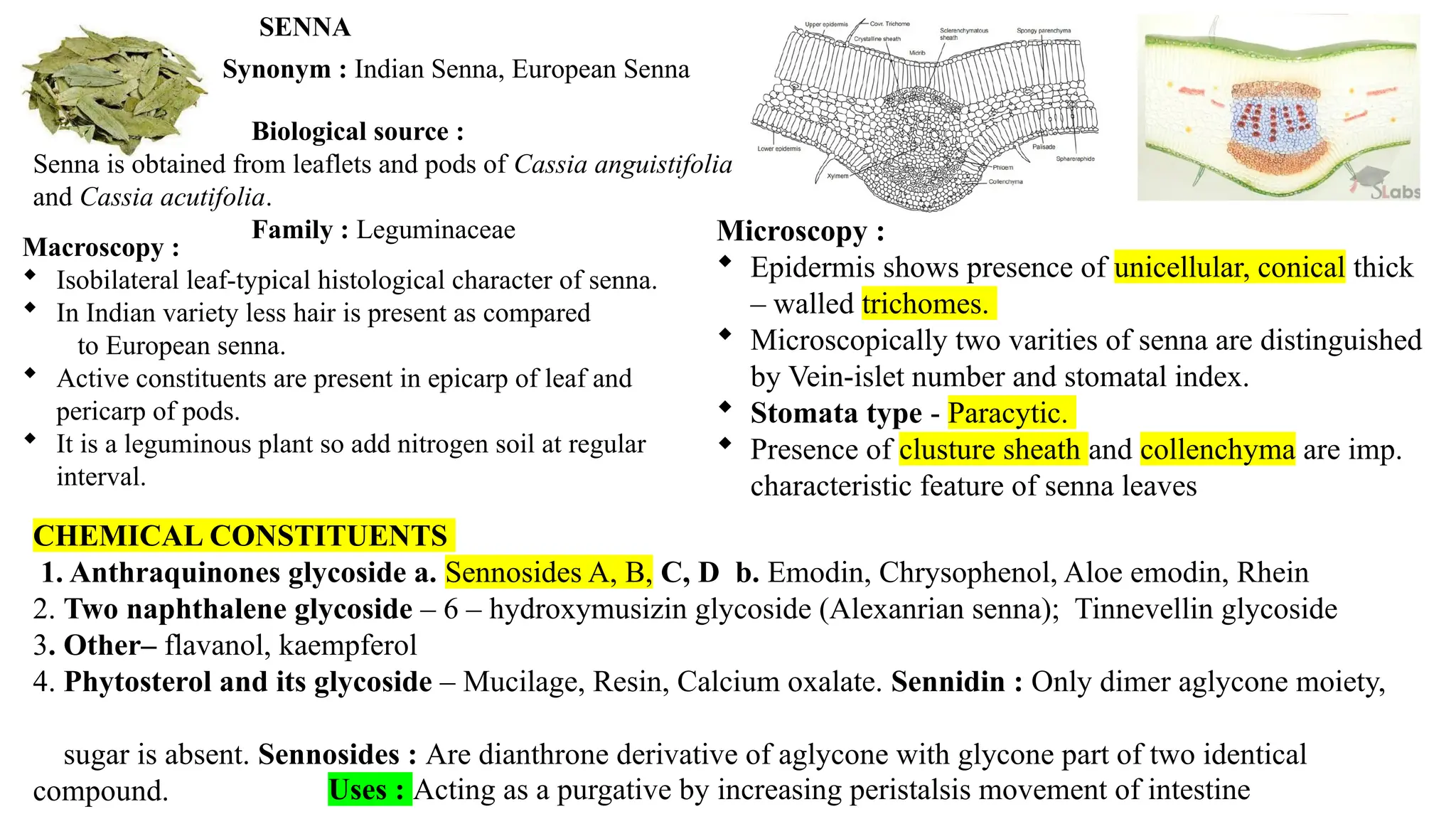 6. Glycoside, aloe, senna, bitter almondpptx | PPTX