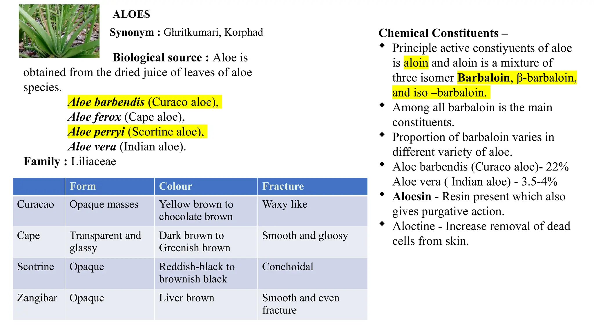6. Glycoside, aloe, senna, bitter almondpptx | PPTX