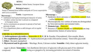 6. Glycoside, aloe, senna, bitter almondpptx | PPTX