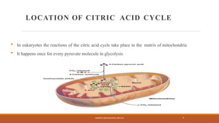 DPT - Biochemistry & Genetics - II (Metabolism of Carbohydrates) Citric ...