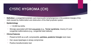 6. CONGENITAL NECK MASSES.pptx23333455678 | PPTX