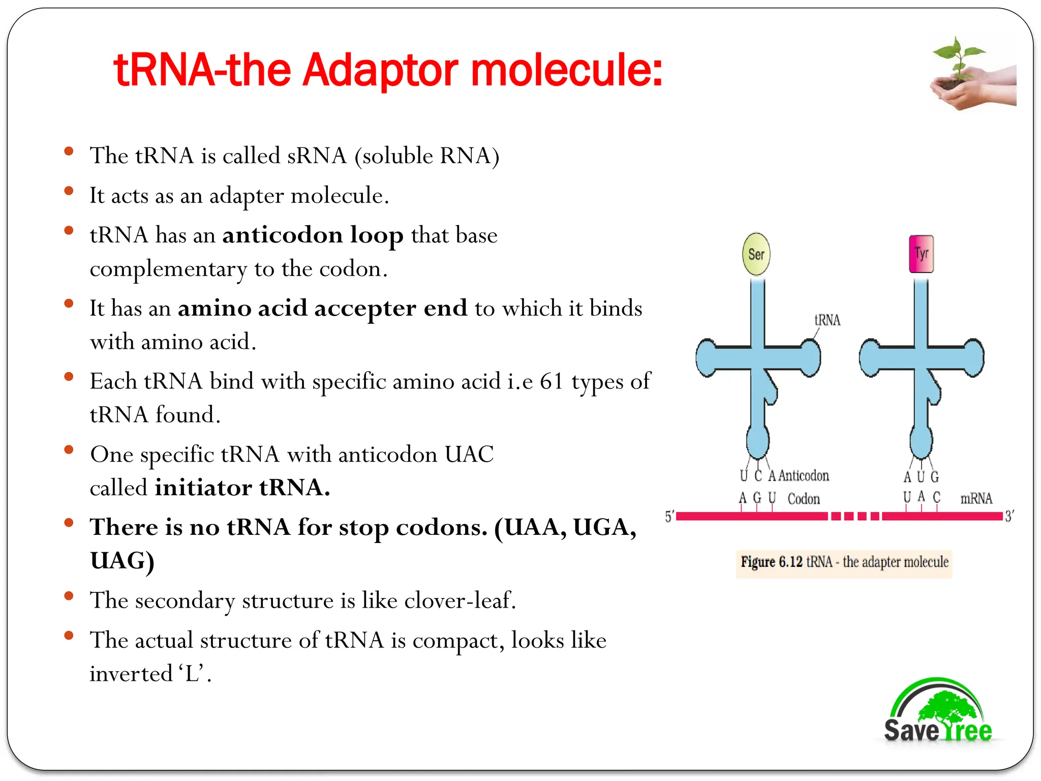 Class 12th Biology Chapter MOLECULAR BASIS OF INHERITANCE | PPTX