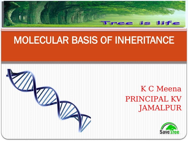 Class 12th Biology Chapter MOLECULAR BASIS OF INHERITANCE | PPTX