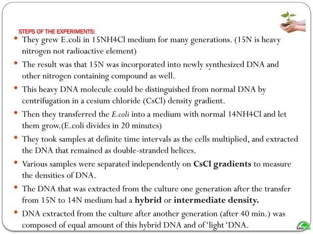 Class 12th Biology Chapter MOLECULAR BASIS OF INHERITANCE | PPTX