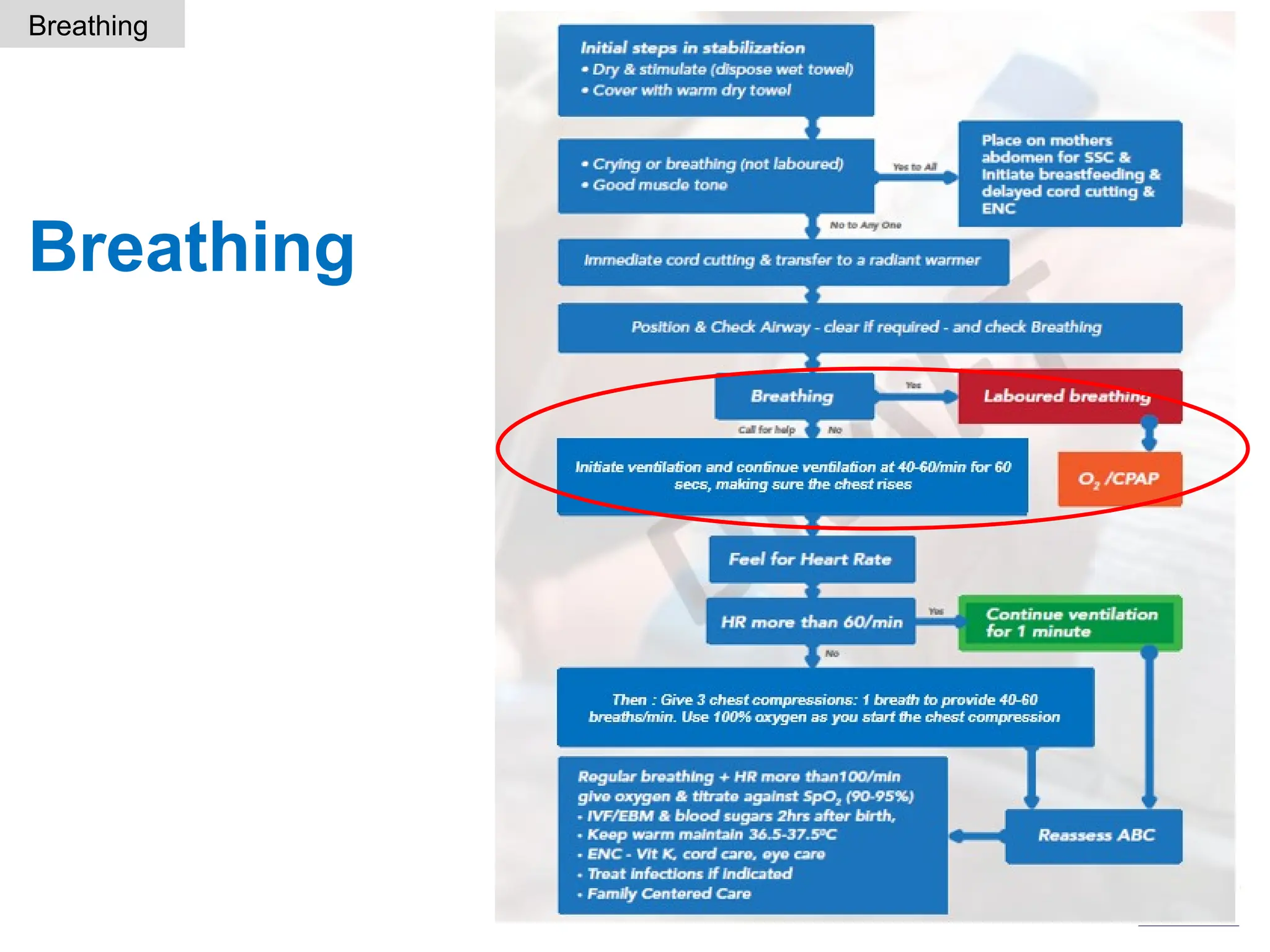 6 Newborn Resuscitation April 2021 Pptx