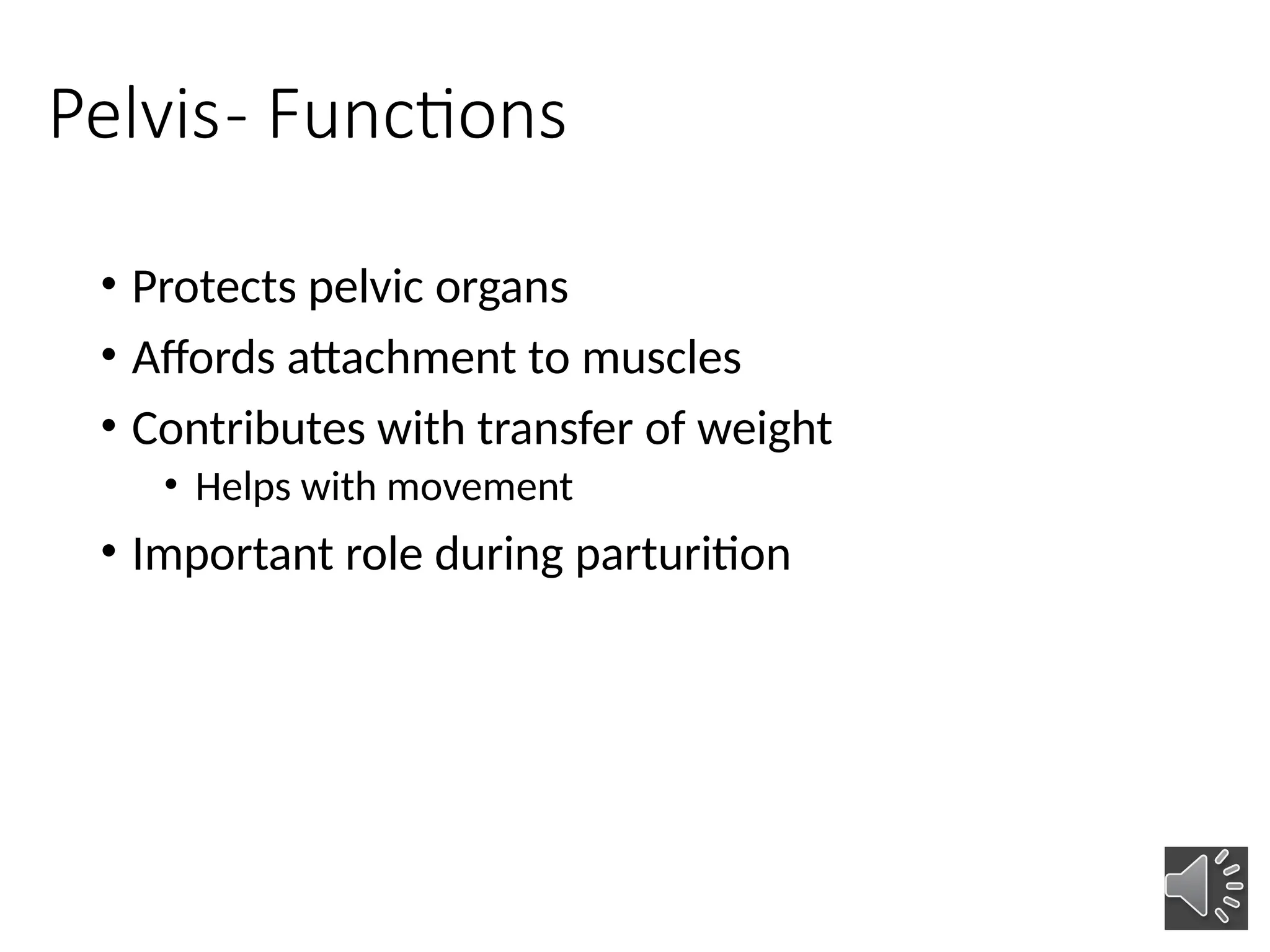 Anatomy of the Bony Pelvis in Humans presentation | PPTX