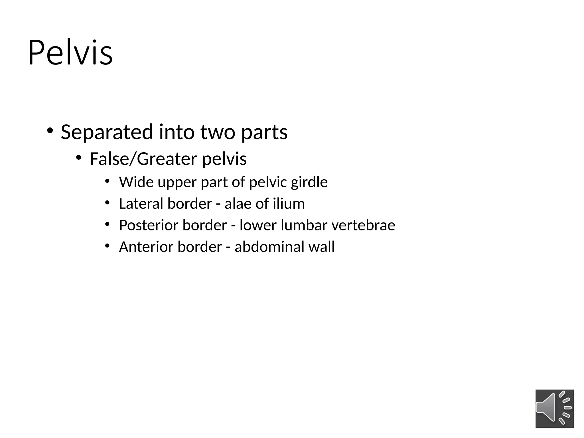 Anatomy of the Bony Pelvis in Humans presentation | PPTX