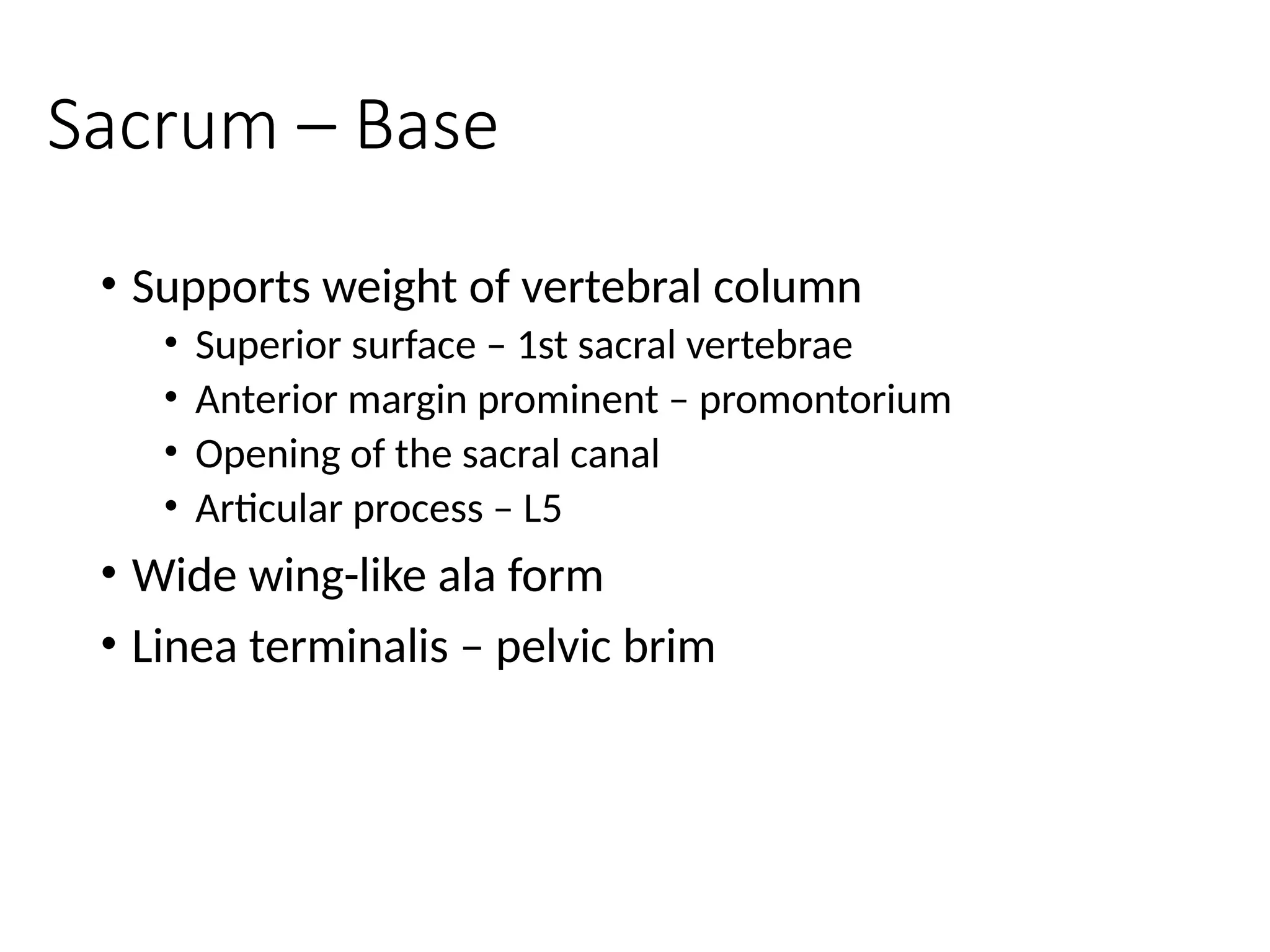 Anatomy of the Bony Pelvis in Humans presentation | PPTX