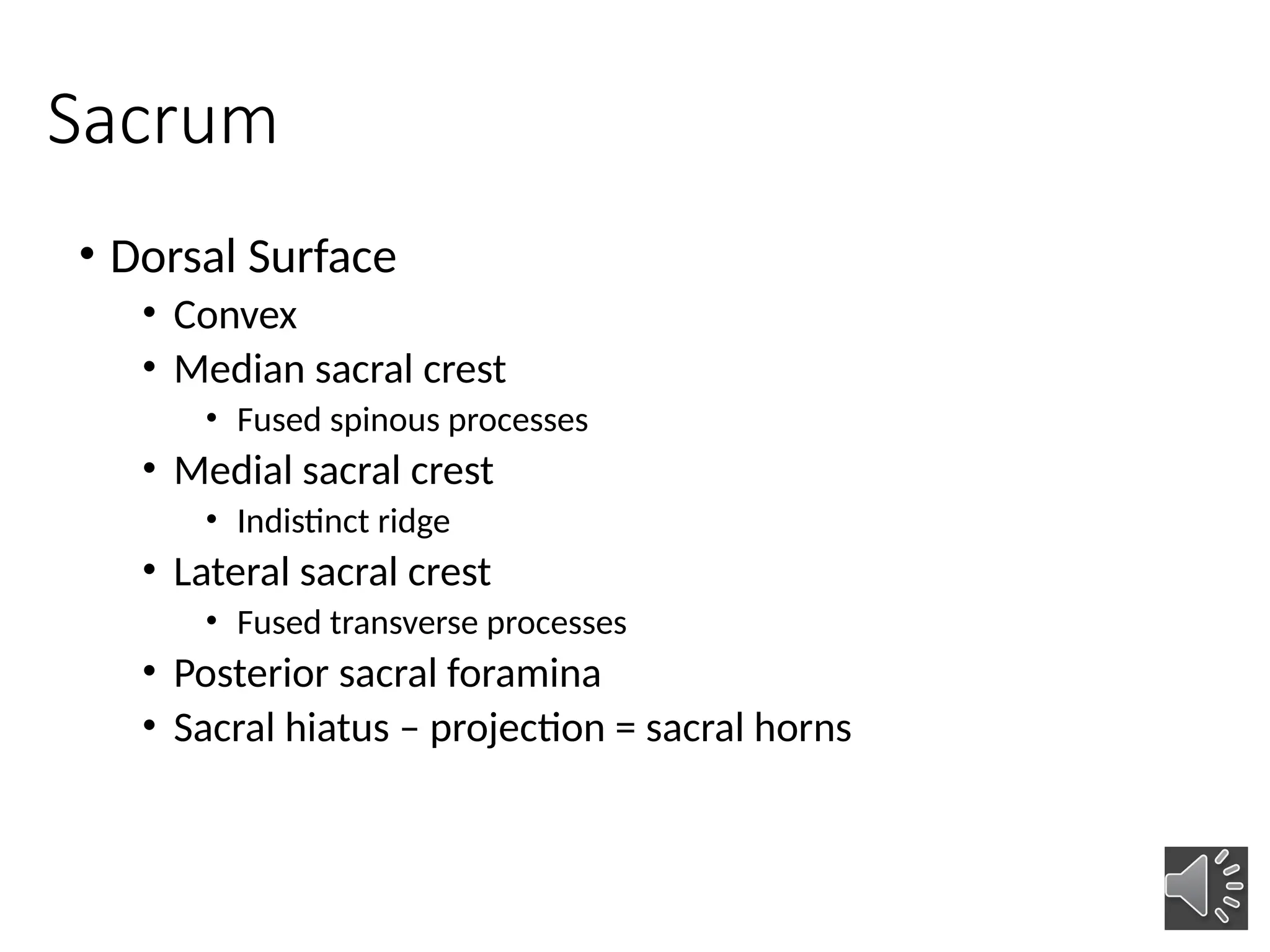Anatomy of the Bony Pelvis in Humans presentation | PPTX