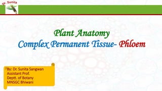 Phloem - Complex permanent tissue in plants | PPTX