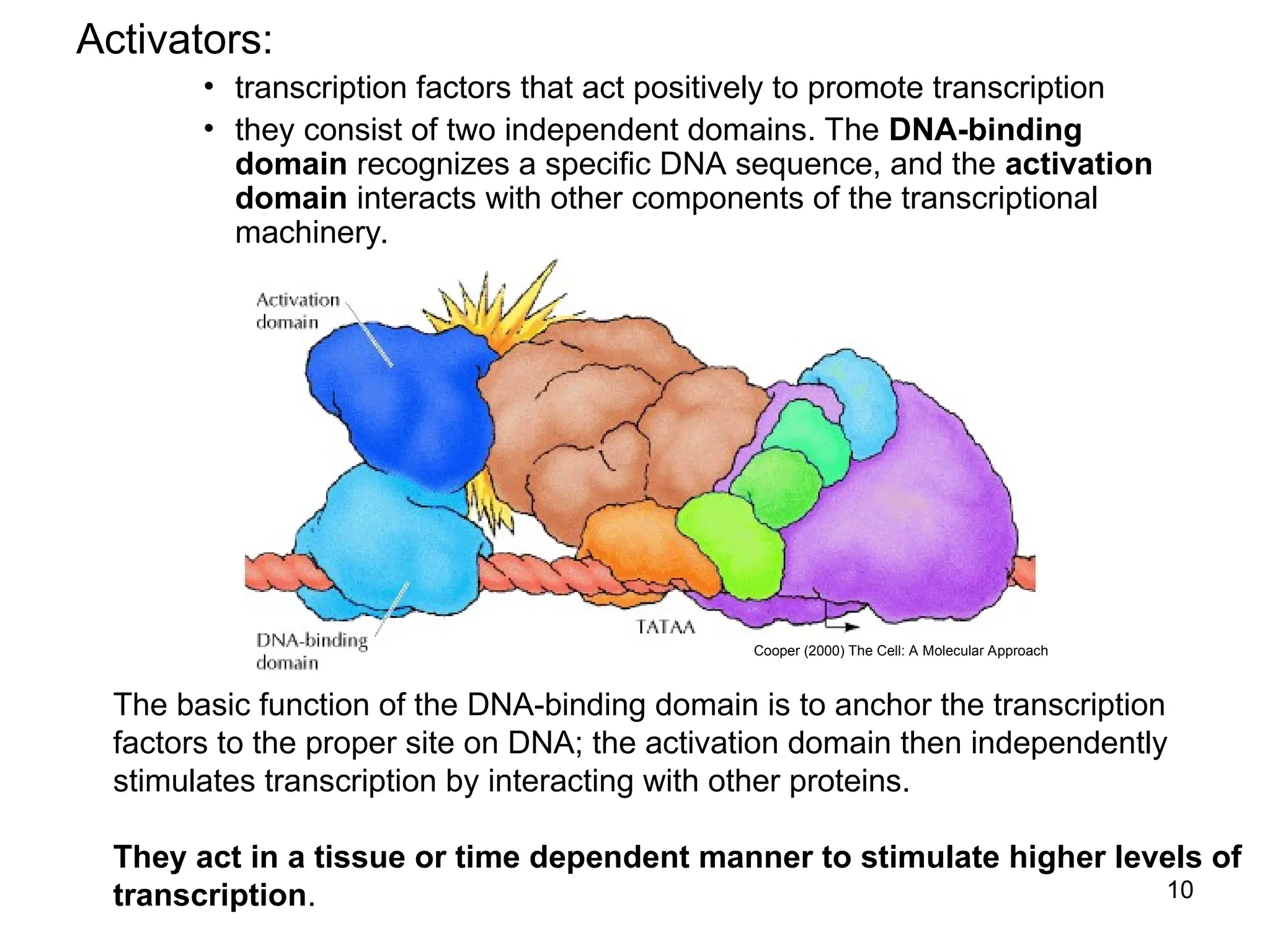 6. An overview of Gene Control_2014o.ppt
