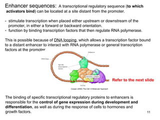 6. An overview of Gene Control_2014o.ppt
