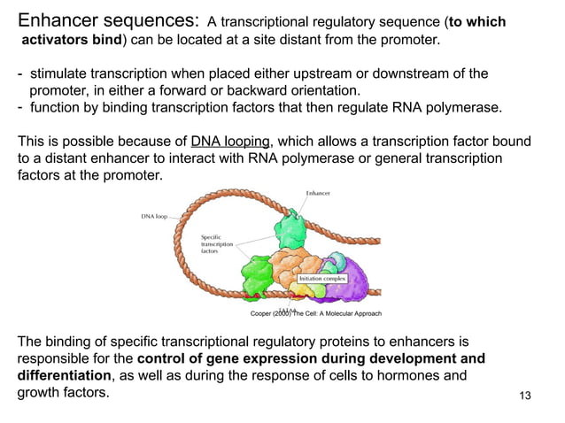 6. An overview of Gene Control_2014o.ppt