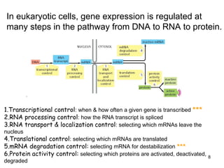 6. An overview of Gene Control_2014o.ppt