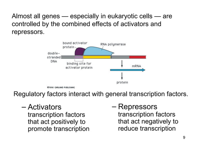 6. An overview of Gene Control_2014o.ppt