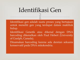 Presentasi Genetika tentang hukum mendeley | PPT