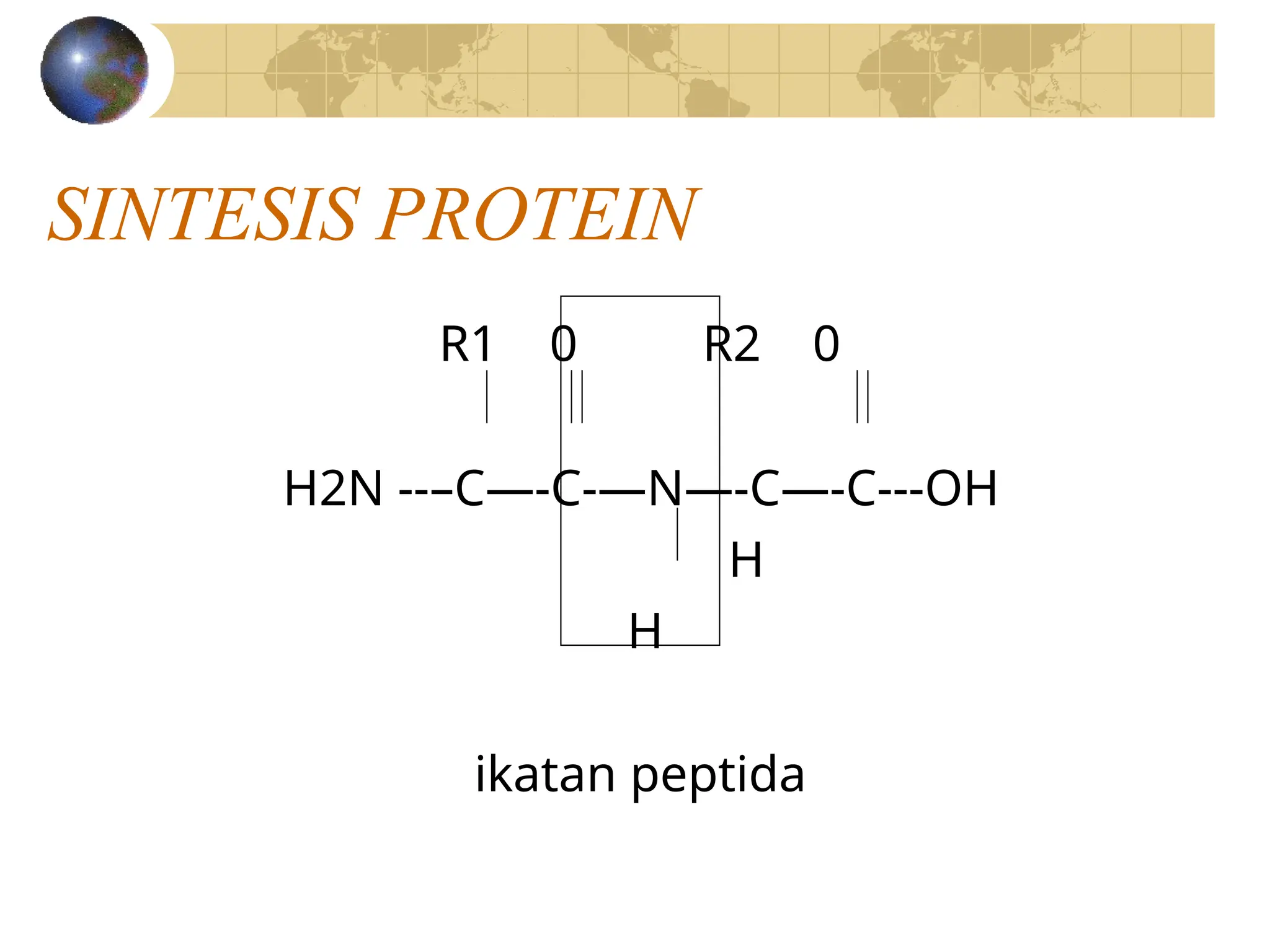 Analisis Zat Gizi Protein, Absorbsim Transportasi Metabolisme | PPT
