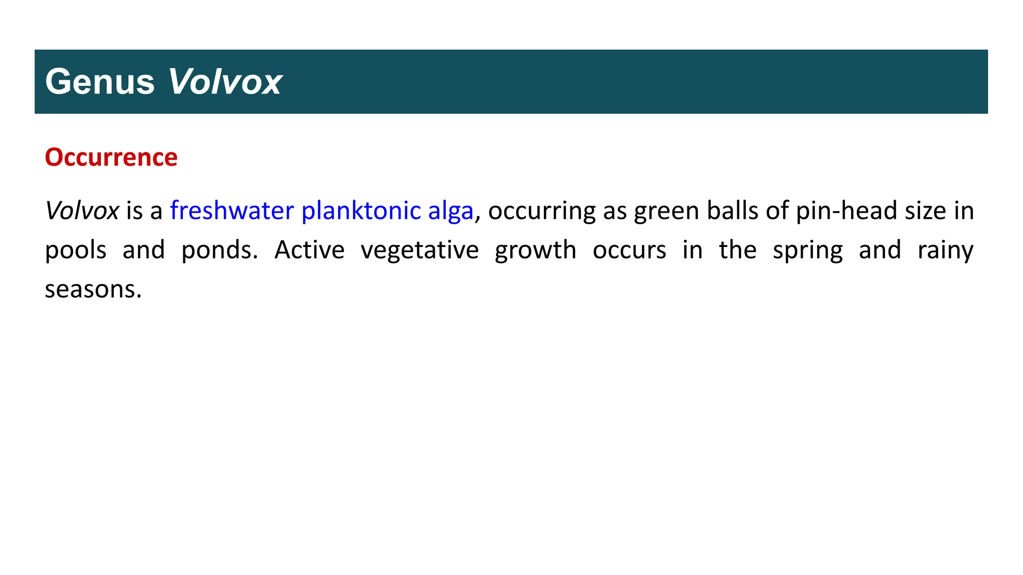 Volvox : The genus of algae , volvox study | PDF