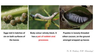 Pests of Pomegranate_Integrated Pest Management_Dr.UPR.pdf | Gardening | Home & Garden