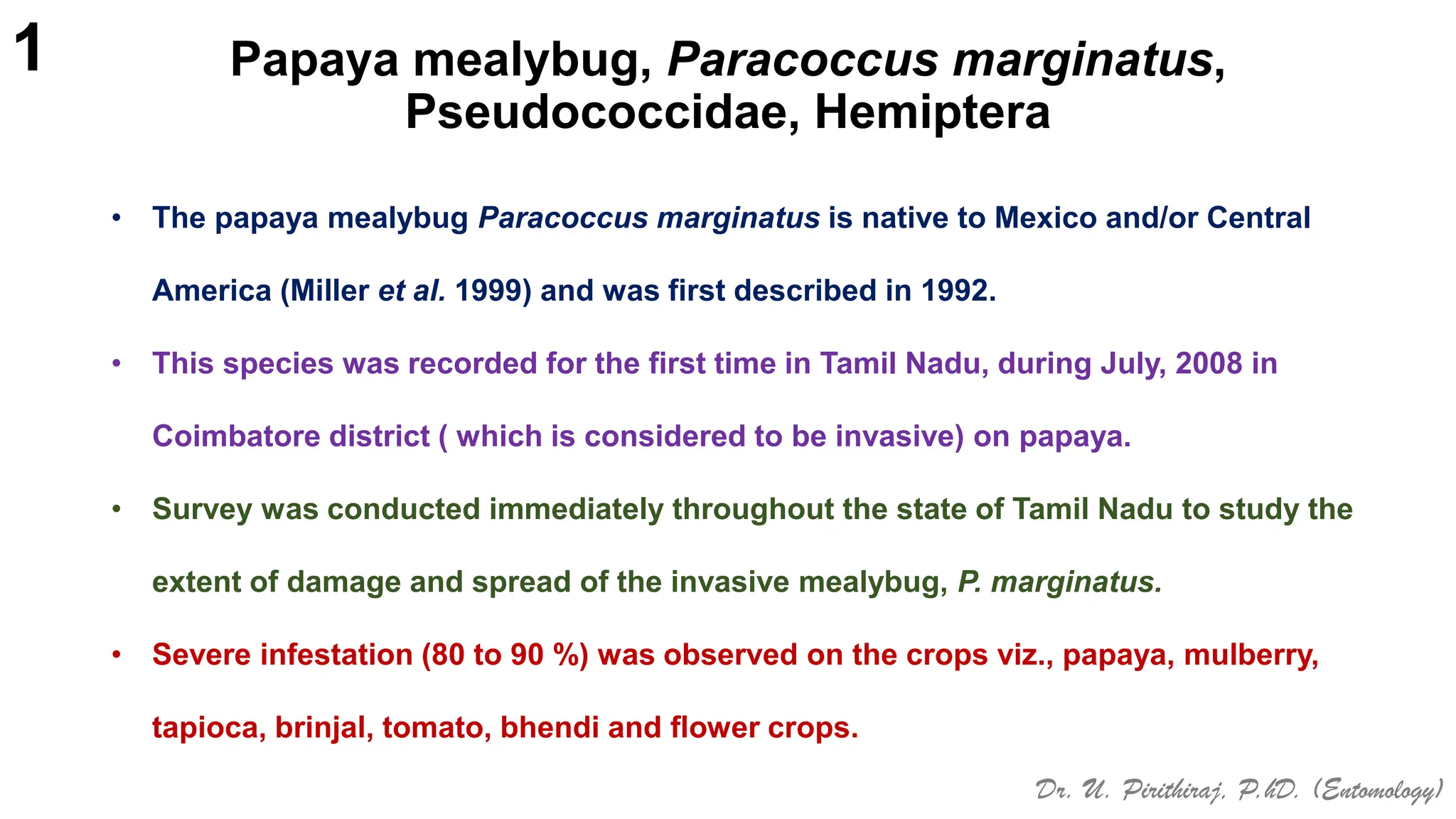 Pests of Papaya_Identification_IPM_Dr.UPR.pdf