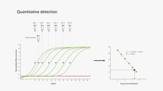 Analisis Rt PCR assay dan aplikasinya untuk syndromic testing | PPTX