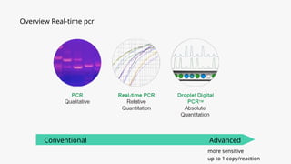 Analisis Rt PCR assay dan aplikasinya untuk syndromic testing | PPTX