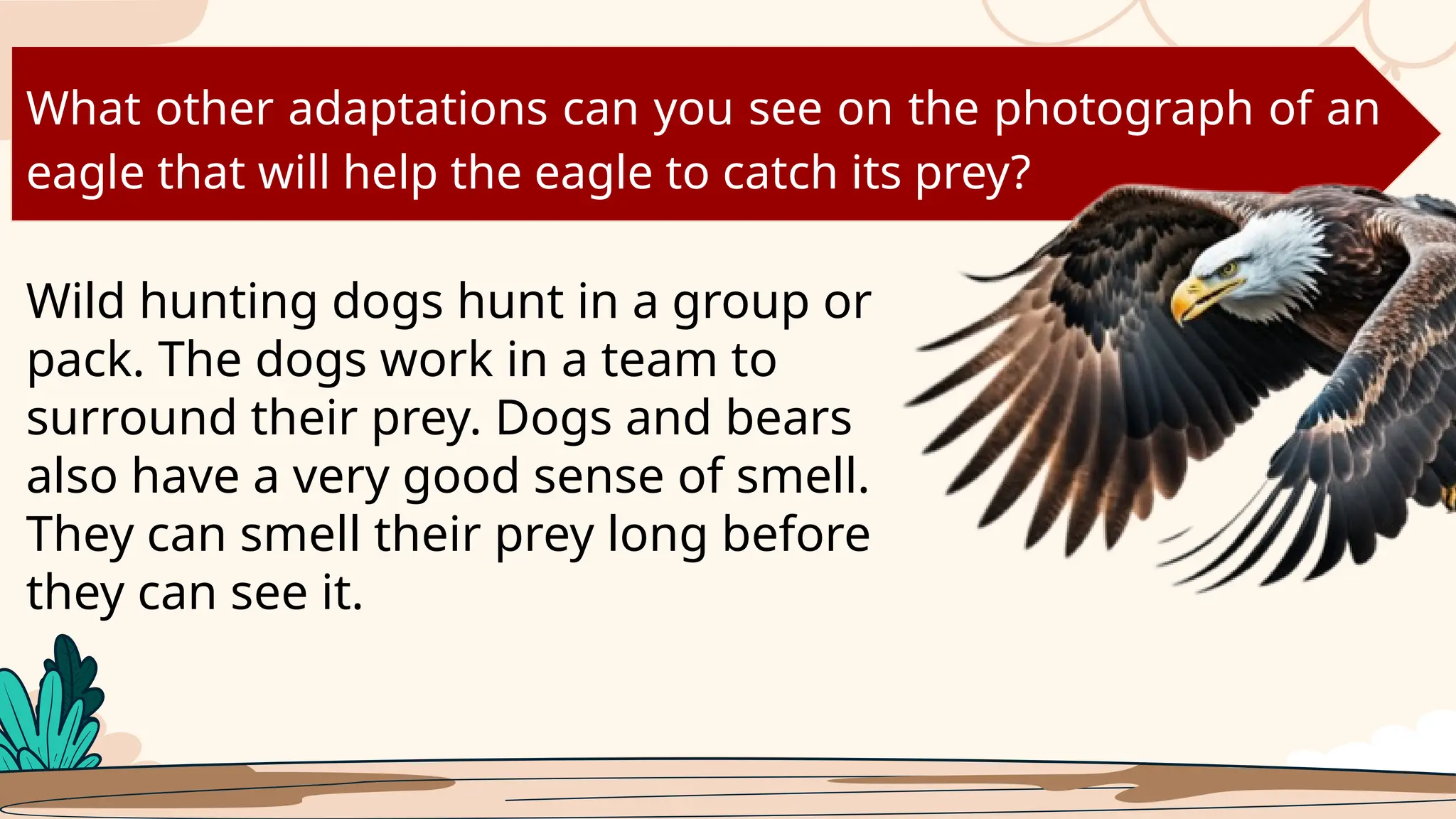 6.4 Adaptations of predators and prey.pptx