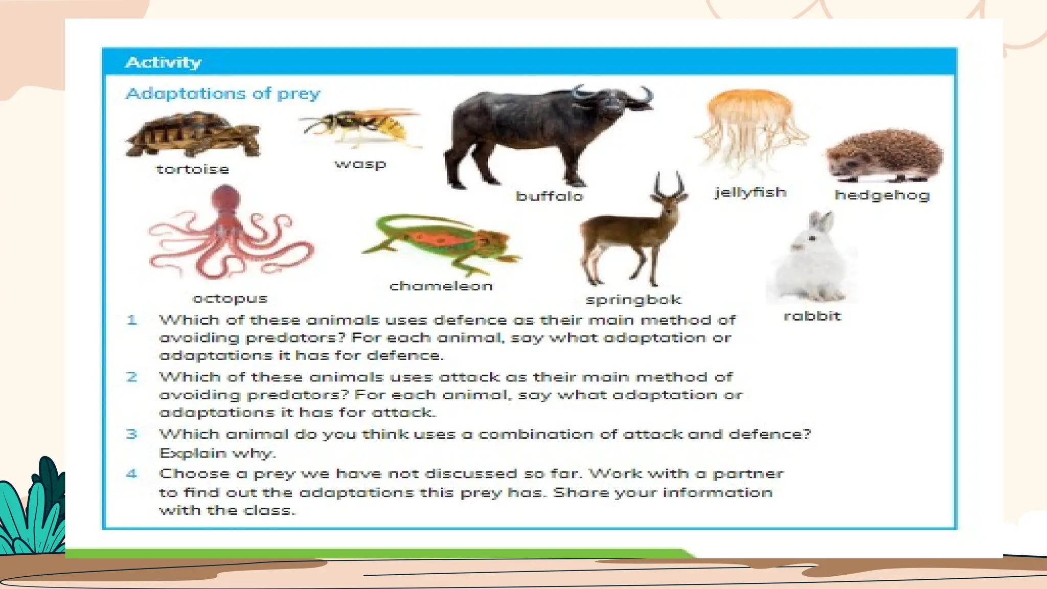 6.4 Adaptations of predators and prey.pptx