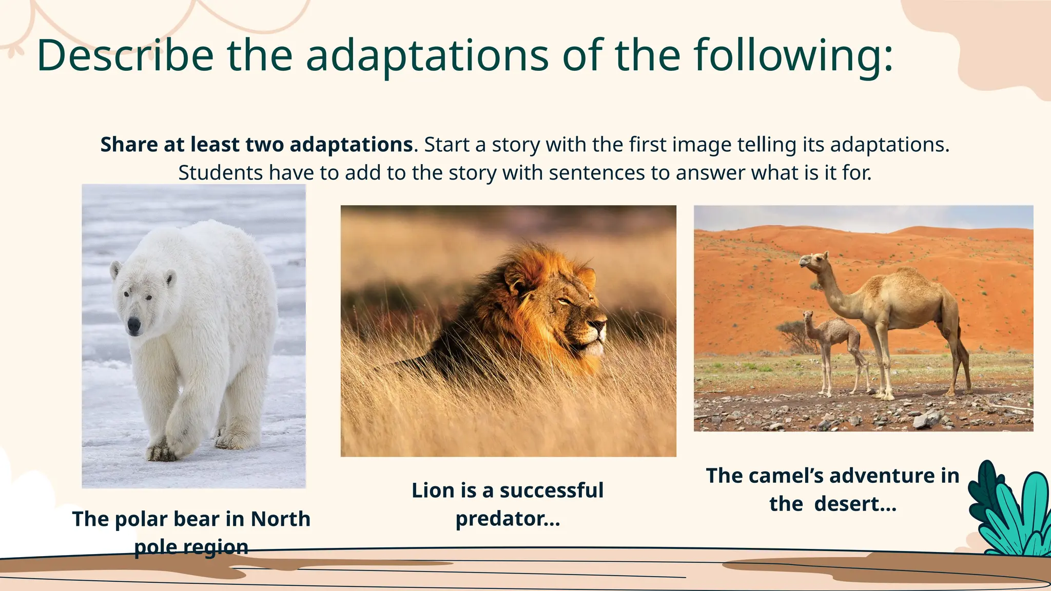 6.4 Adaptations of predators and prey.pptx