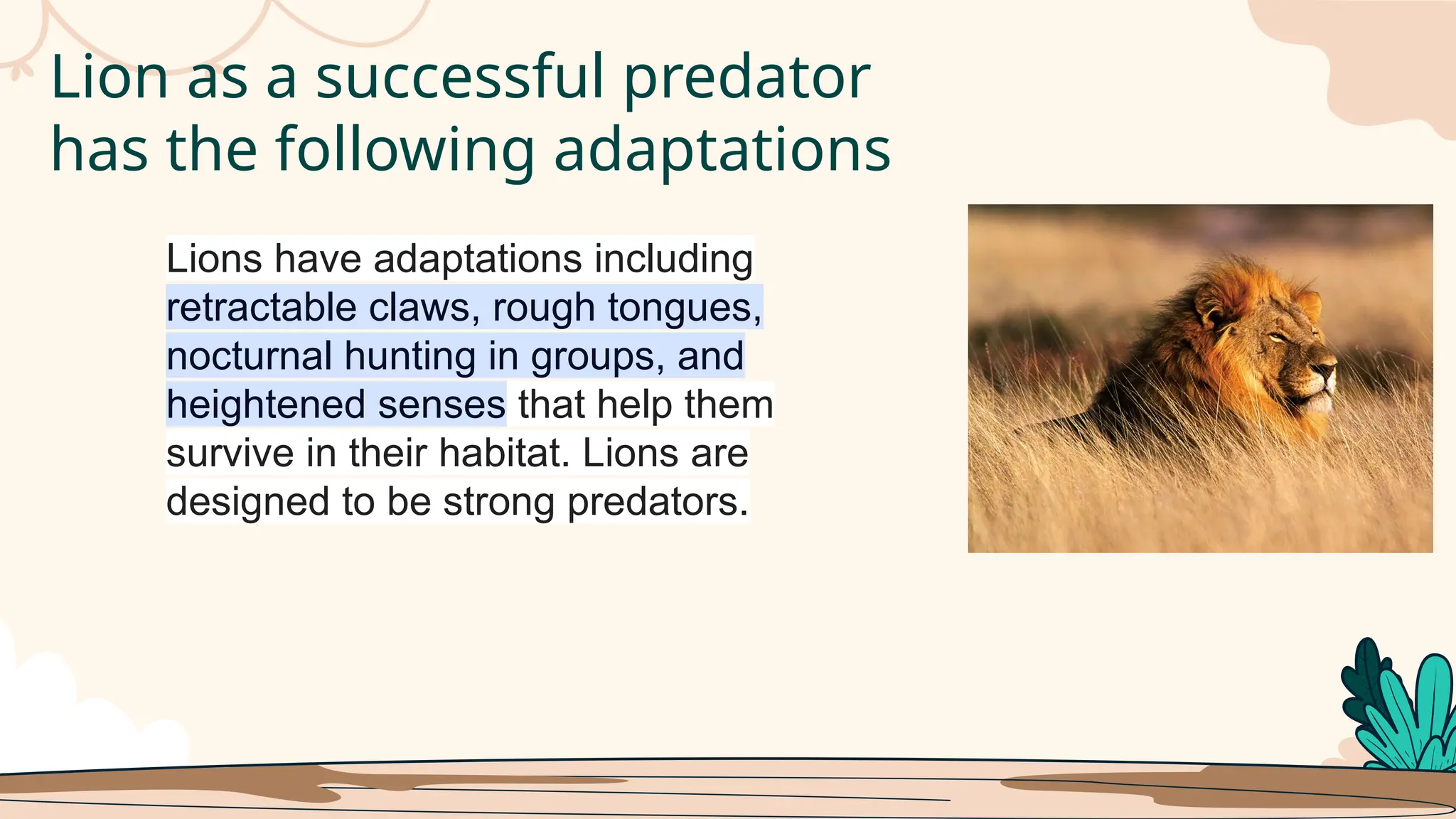 6.4 Adaptations of predators and prey.pptx