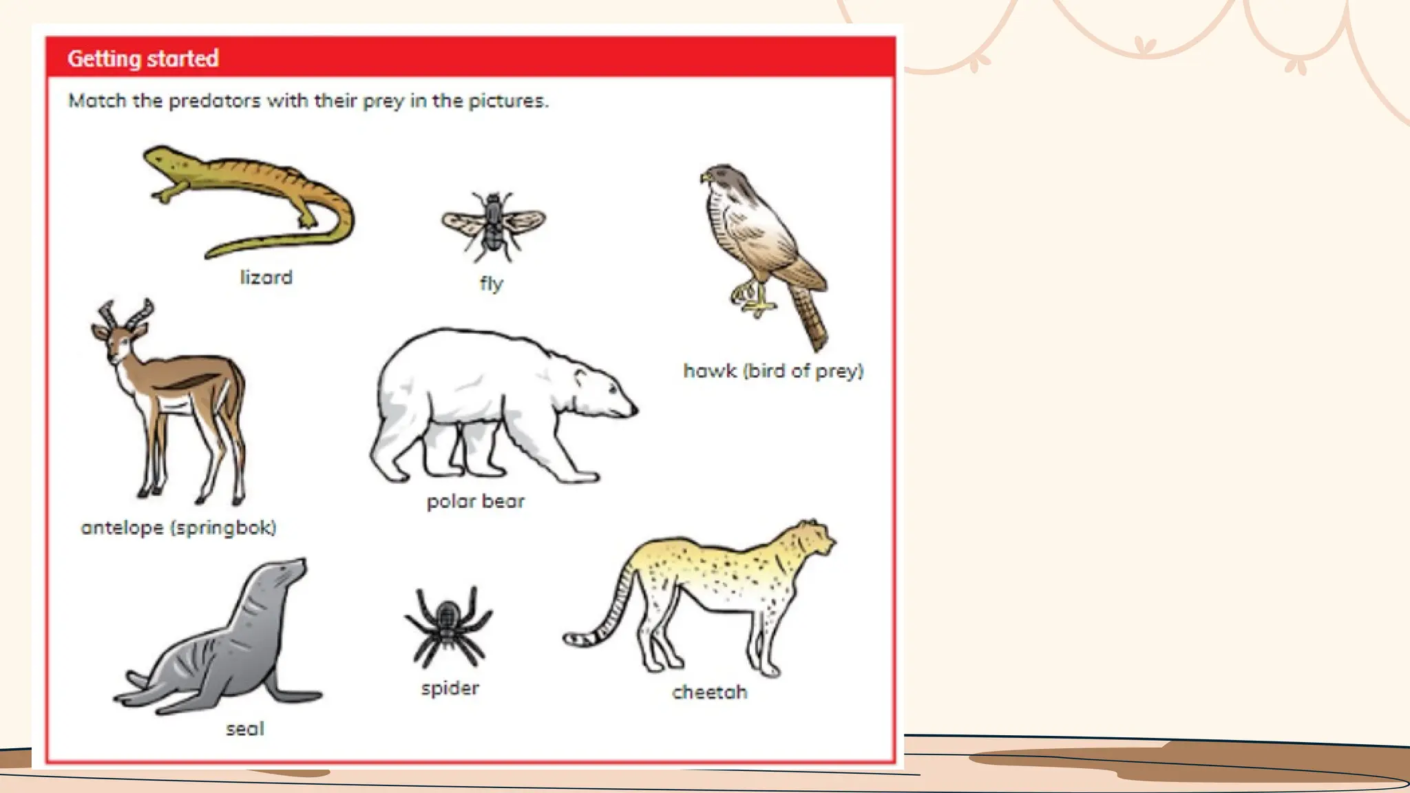 6.4 Adaptations of predators and prey.pptx