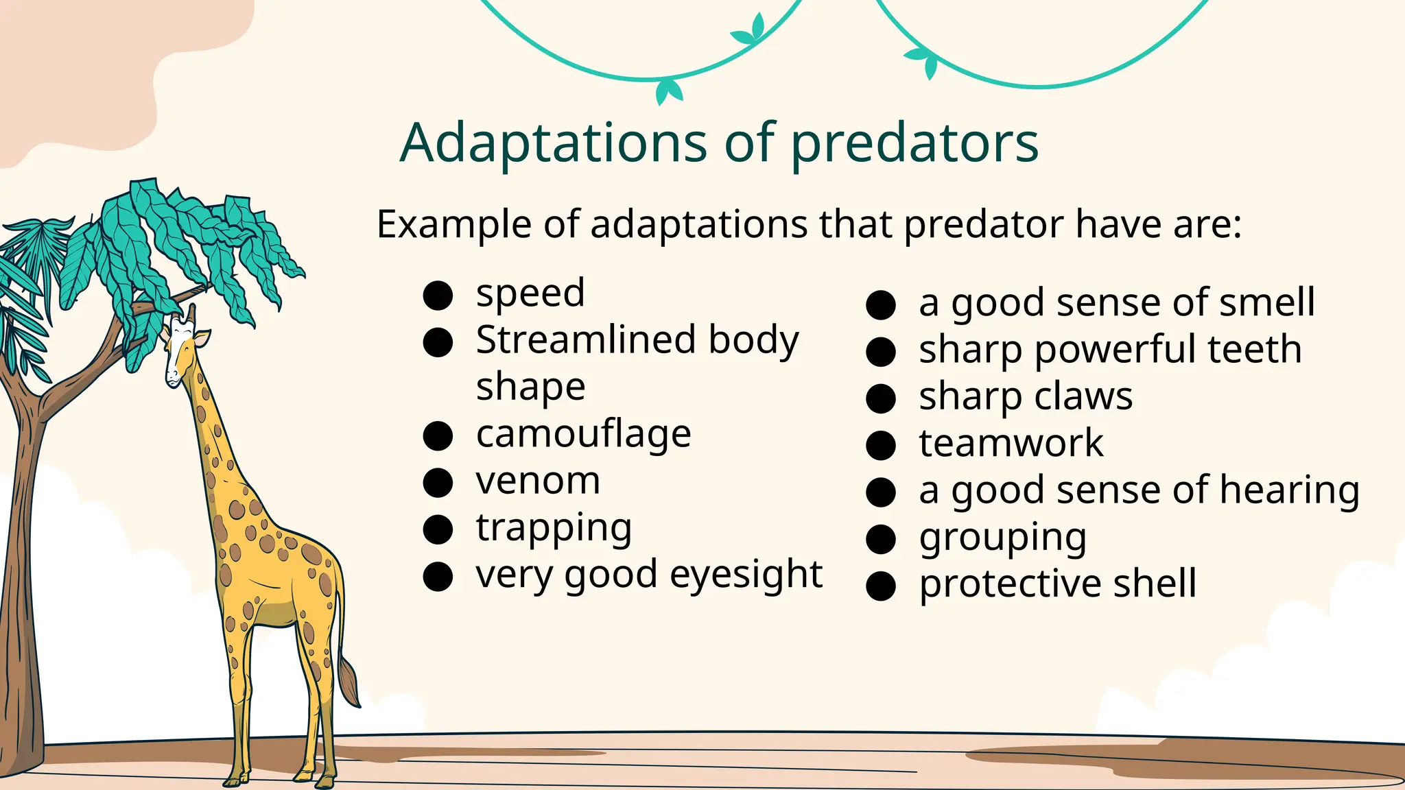 6.4 Adaptations of predators and prey.pptx