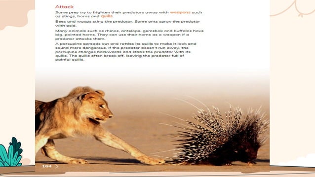 6.4 Adaptations of predators and prey.pptx | Hunting and Shooting | Sports